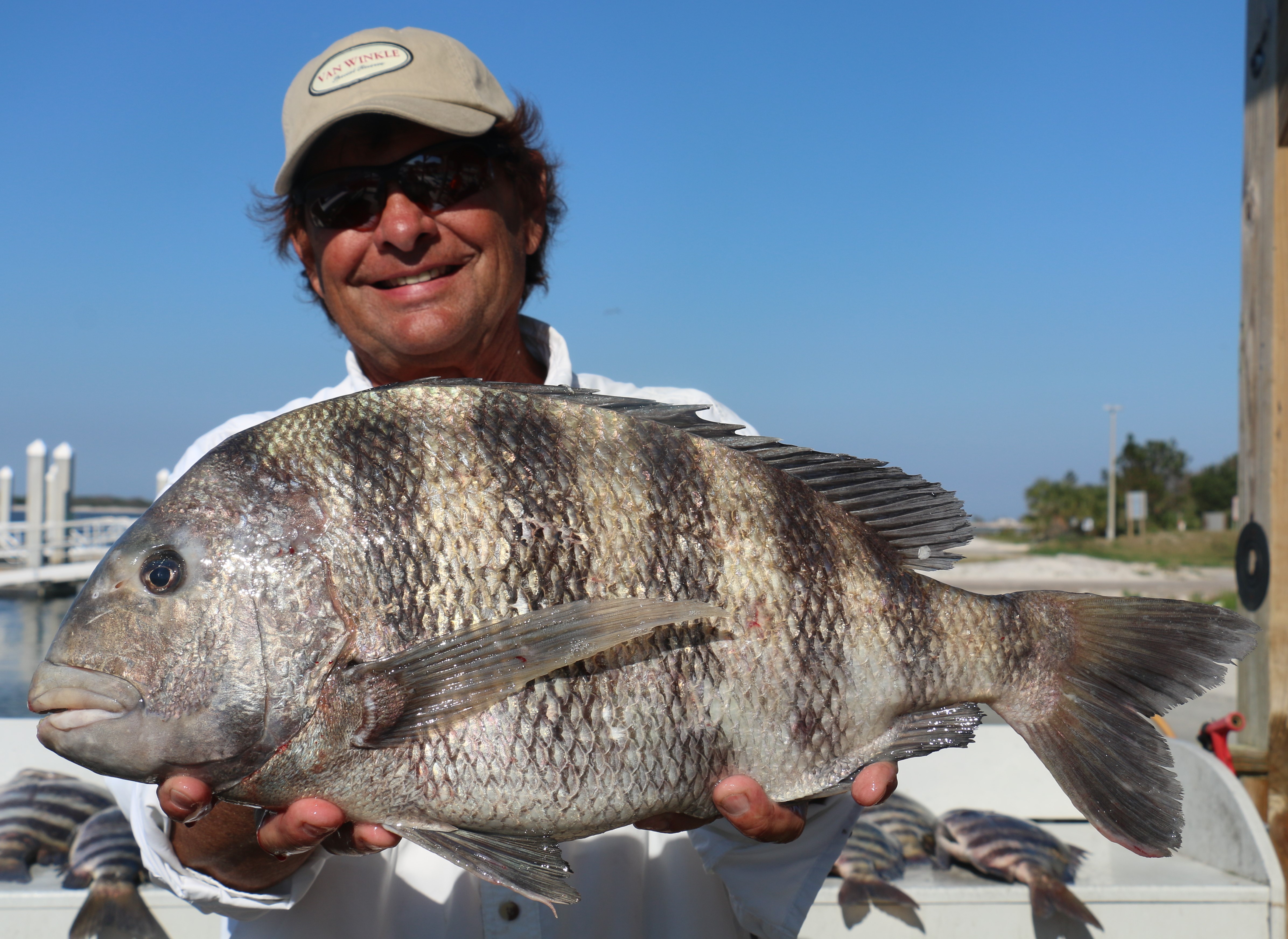 10.5 pound Sheepshead